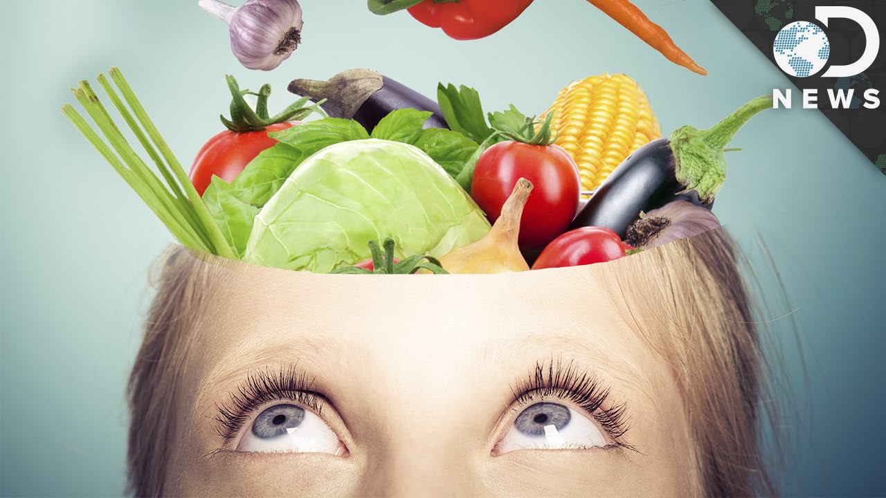 Best Meals to Boost Your Brain as a Student. - Daily Candid News