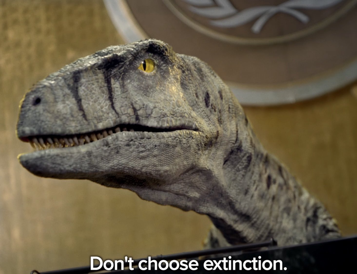 Advice from A Dinosaur: ‘Don’t Choose Extinction.’ (Watch.) - Daily ...