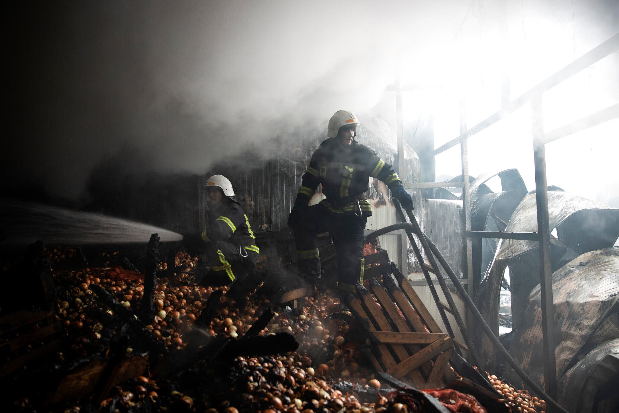 Latest on Ukraine…And How You Can Help. - Daily Candid News