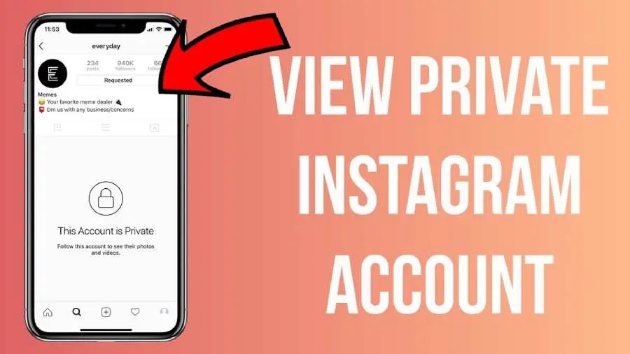 Why Do People Have Private Instagram Accounts? - Daily Candid News