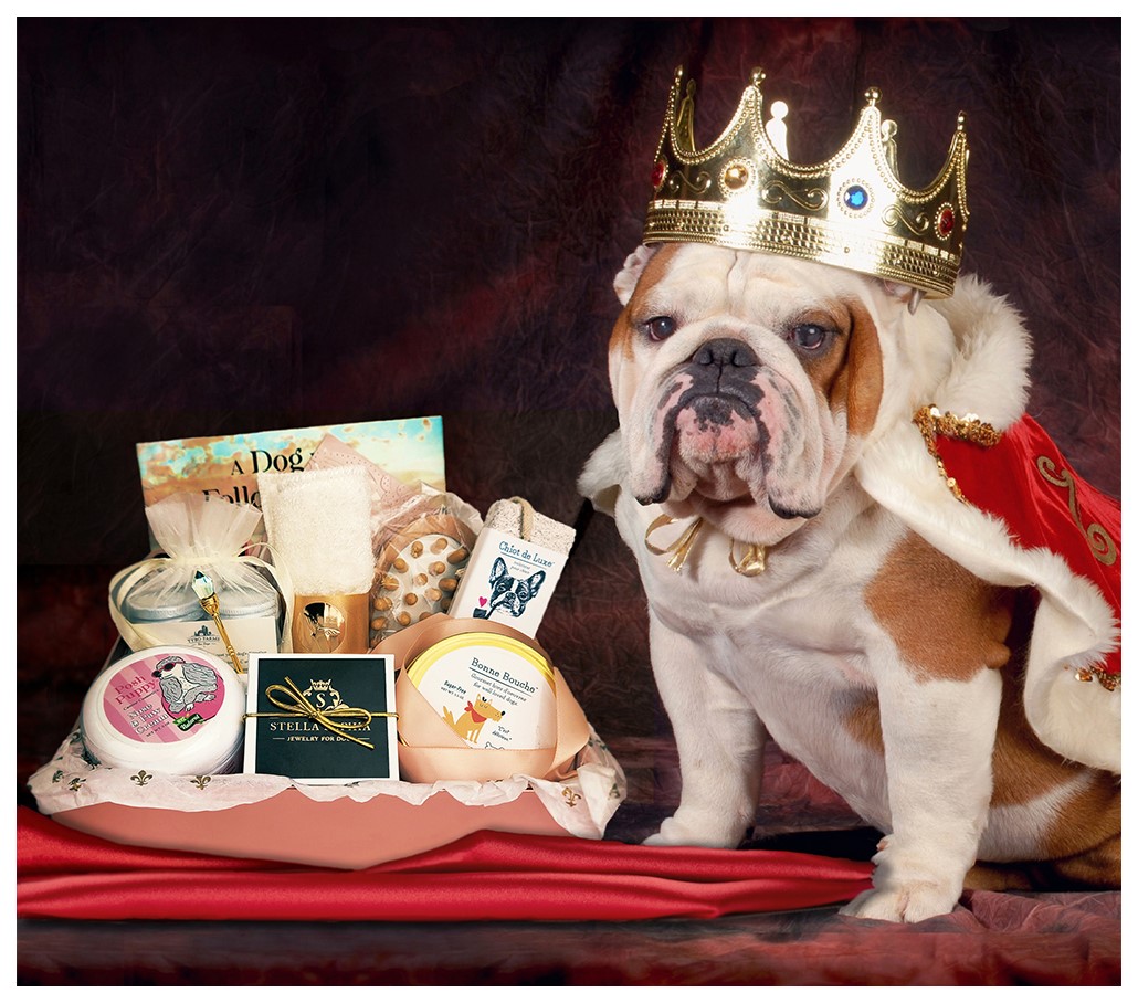 Spa Dog Luxury Gift Box For All The Good Doggies. - Daily Candid News