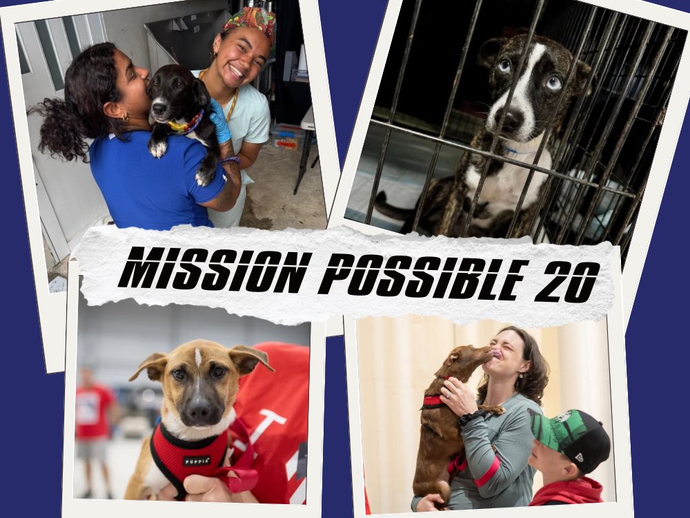 RetrievAir and The Sato Project Join Forces to Fly Puerto Rico’s ...