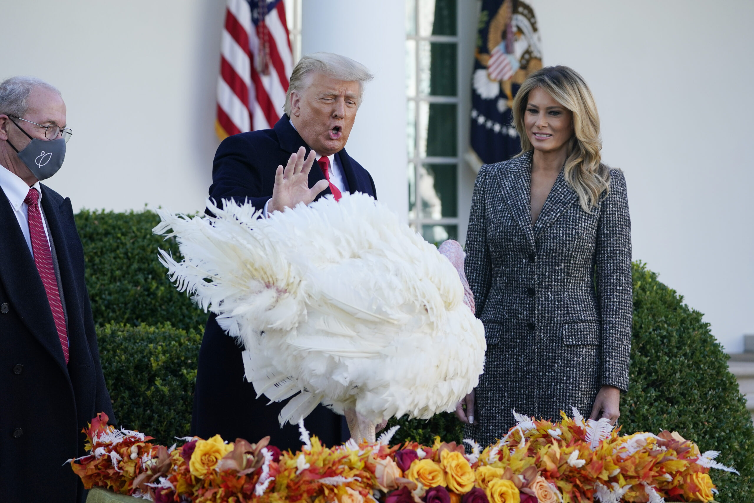 Trump Manages to Insult Even The Turkeys. - Daily Candid News